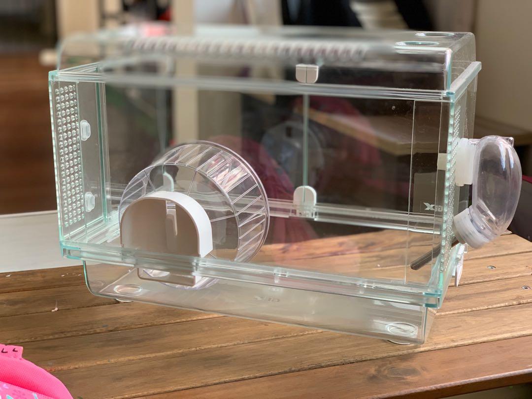 Gex Glass Harmony 360 Hamster Enclosure, Pet Supplies, Homes & Other Pet Accessories on Carousell