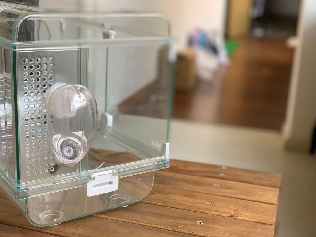 Gex Glass Harmony 360 Hamster Enclosure, Pet Supplies, Homes & Other Pet Accessories on Carousell