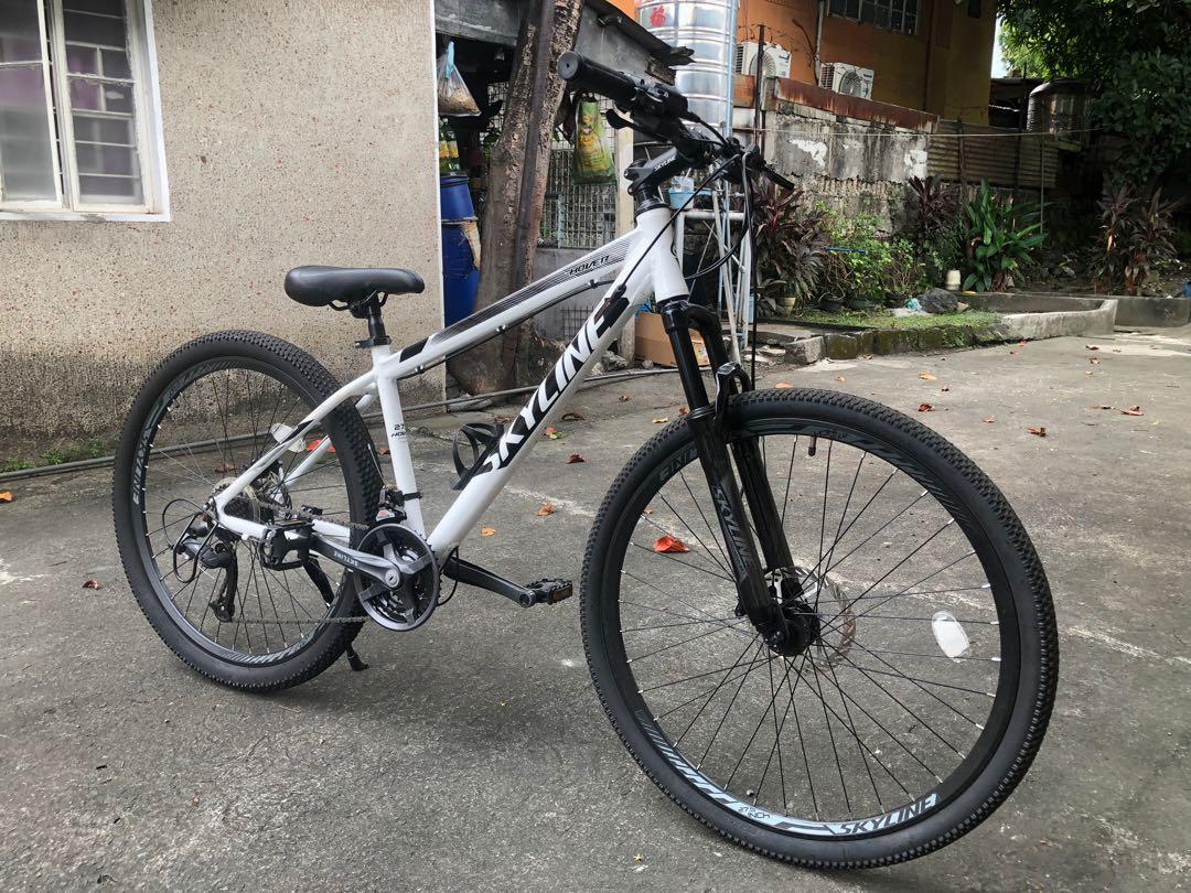 Skyline 27.5 Mountain Bike, Sports Equipment, Bicycles & Parts ...