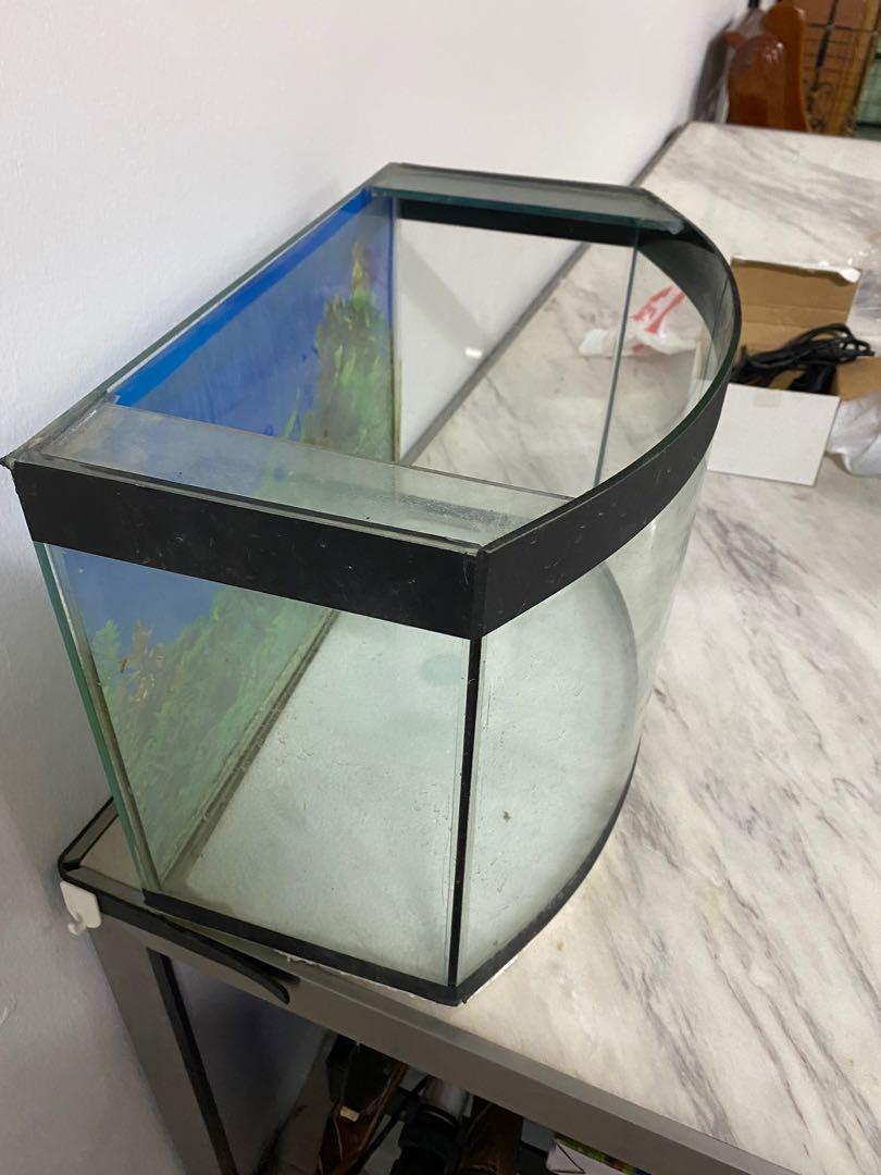 17” curved glass tank, Lifestyle Services, Pet Care Services on Carousell