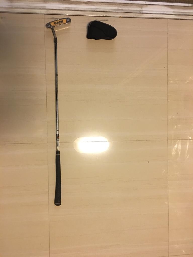 Hippo Polymer Face 502 Putter, Sports Equipment, Sports & Games, Golf ...