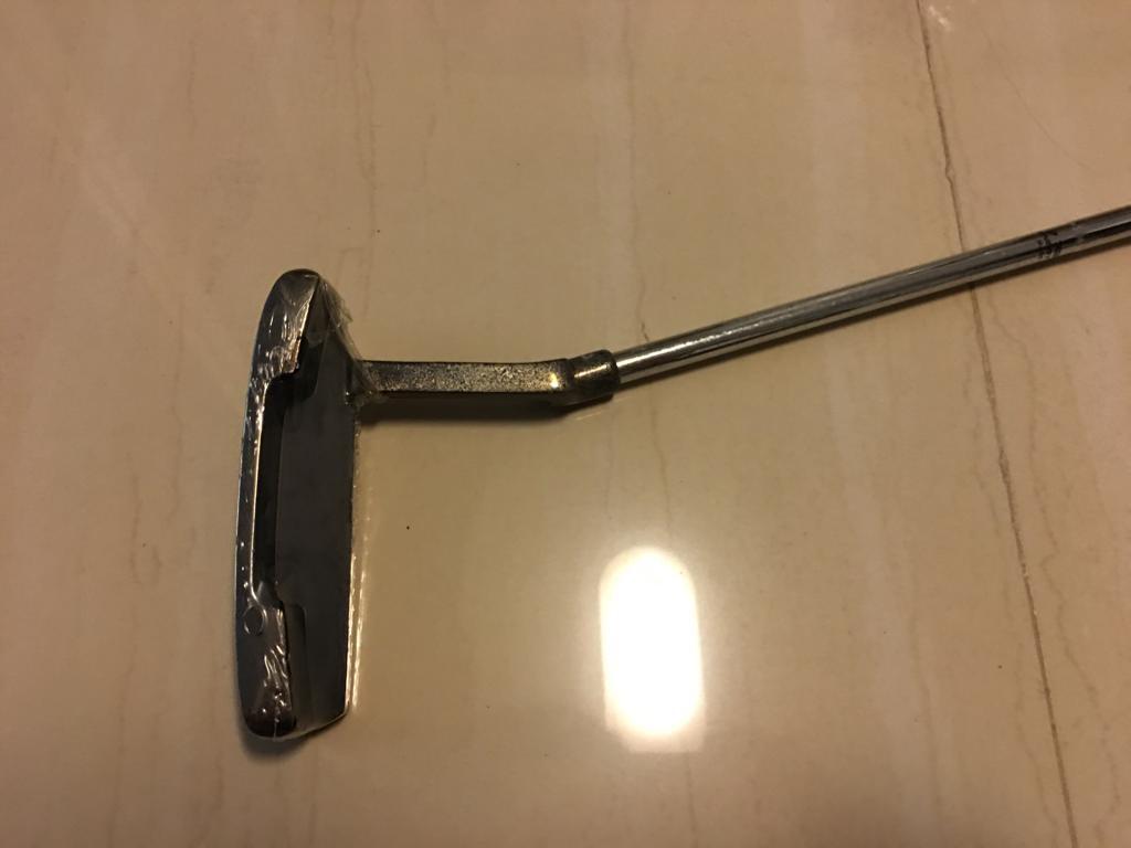 Hippo Polymer Face 502 Putter, Sports Equipment, Sports & Games, Golf ...