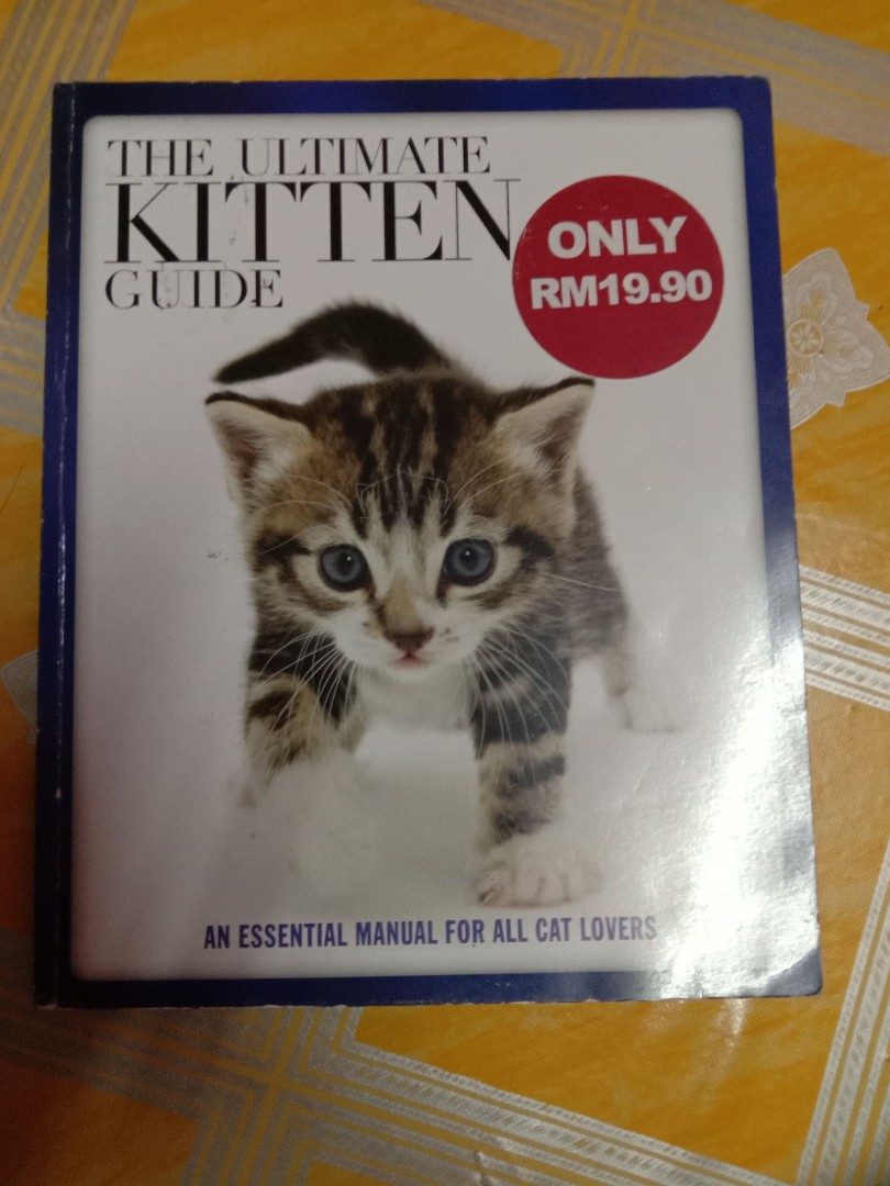The Ultimate Kitten Guide, Hobbies & Toys, Books & Magazines, Magazines ...