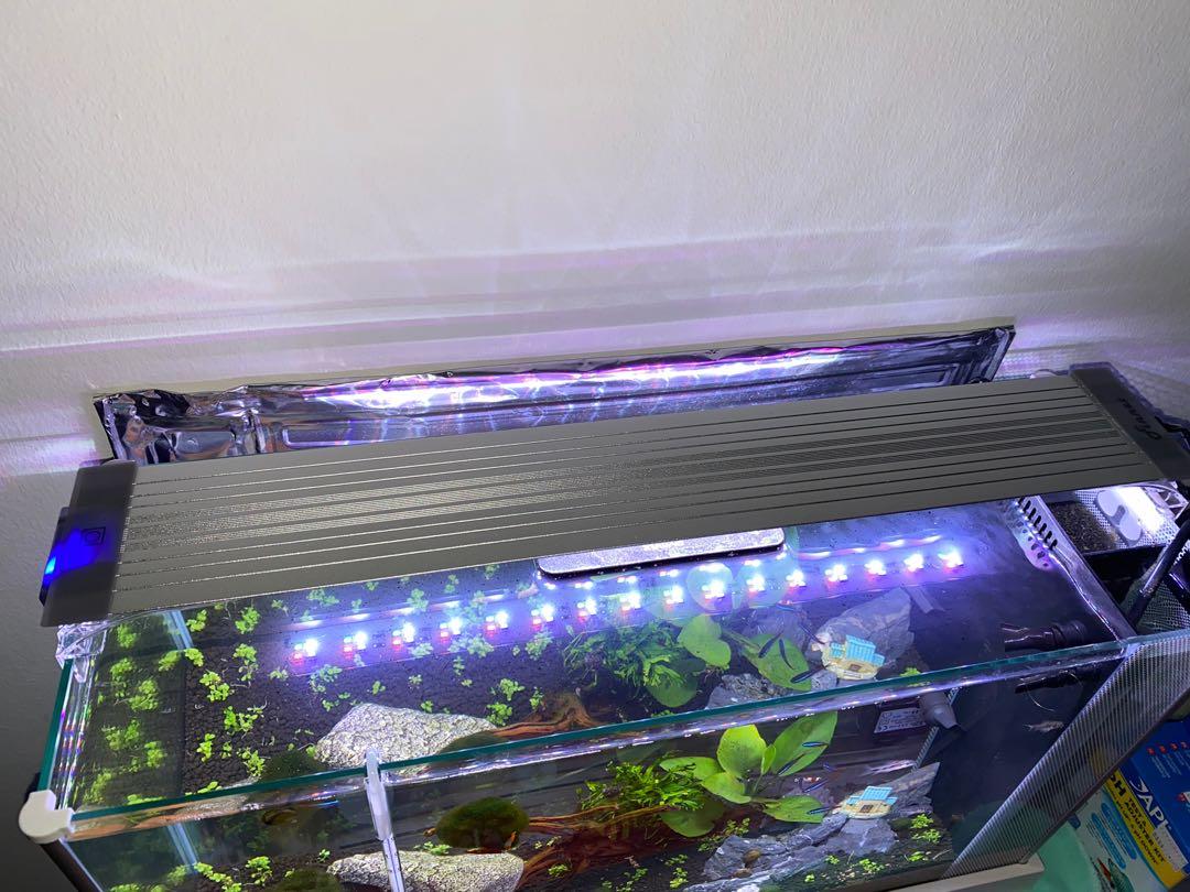 Finnex Planted+ 24/7 HLC Aquarium LED Light, Automated Full Spectrum ...