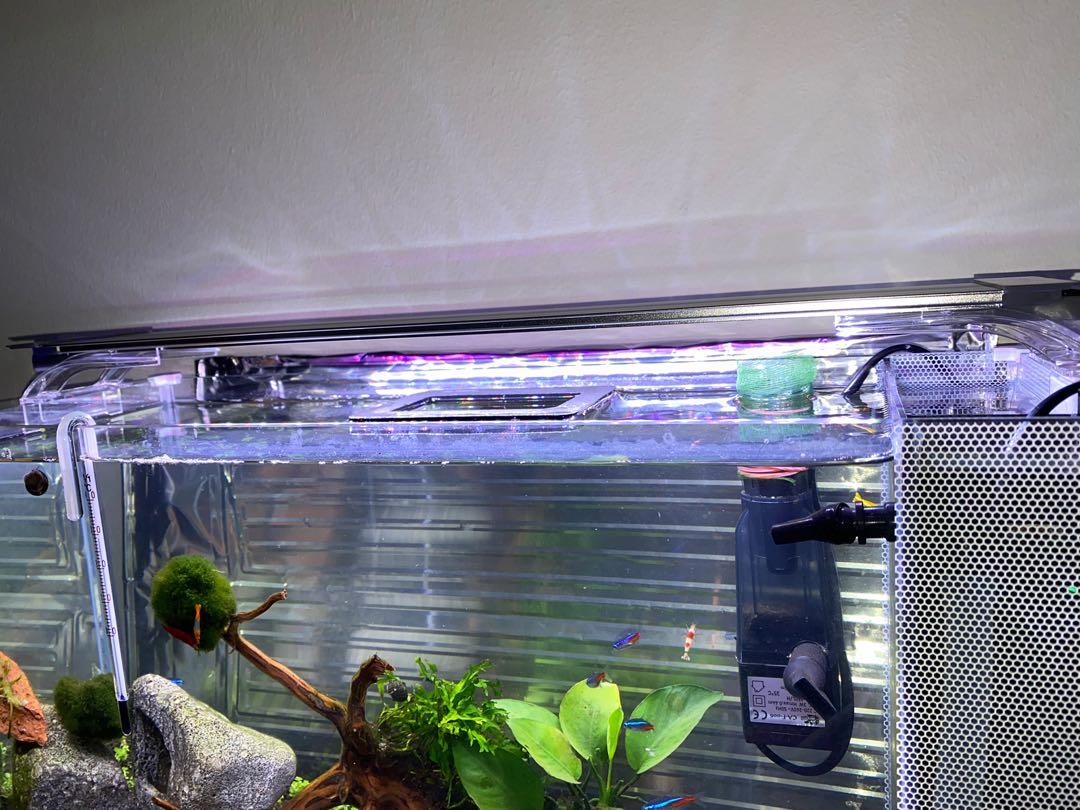 Finnex Planted+ 24/7 HLC Aquarium LED Light, Automated Full Spectrum ...