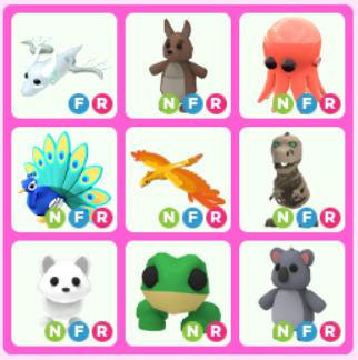 Kangaroo - Octopus - Peacock - Arctic Fox - Phoenix - Frog NFR Adopt me ...