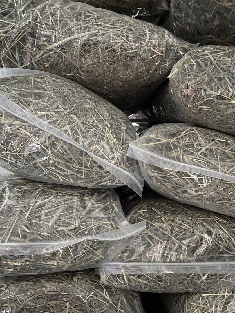 Timothy Hay Second Cut repacked (cheap) 1kg 500g, Pet Supplies, Pet ...