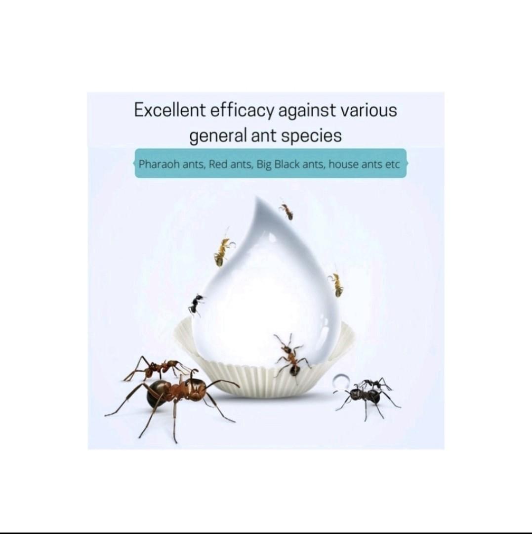 Bayer Ant Killer Ant Bait Eliminate Ant Infestation Germany Product ... Bayer Ant Killer Ant Bait Eliminate Ant Infestation Germany Product ...