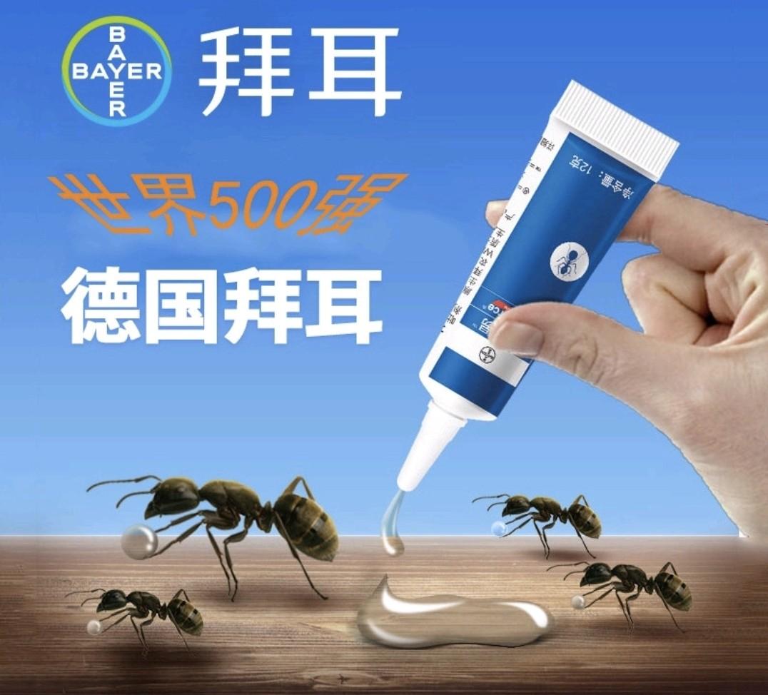 Bayer Ant Killer Ant Bait Eliminate Ant Infestation Germany Product ...