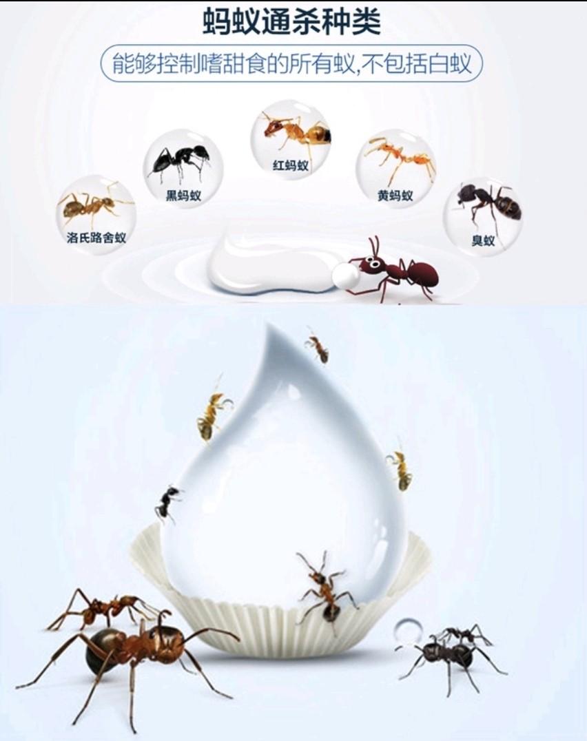 Bayer Ant Killer Ant Bait Eliminate Ant Infestation Germany Product ... Bayer Ant Killer Ant Bait Eliminate Ant Infestation Germany Product ...