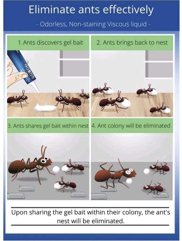 Bayer Ant Killer Ant Bait Eliminate Ant Infestation Germany Product ...