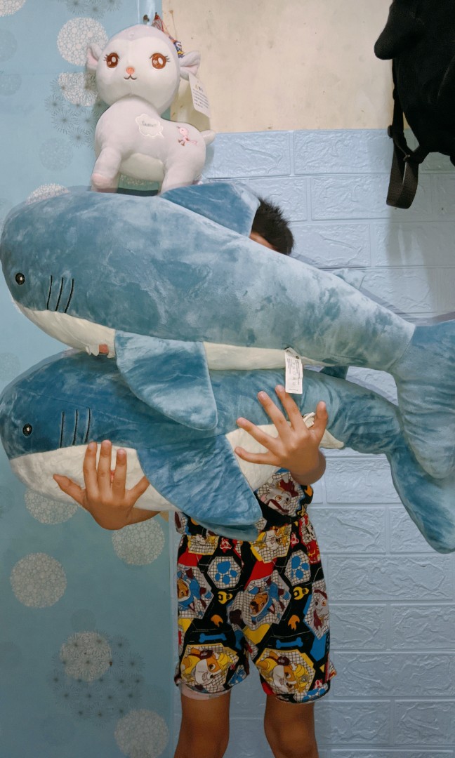 Bundel shark miniso etikita, Hobbies & Toys, Toys & Games on Carousell