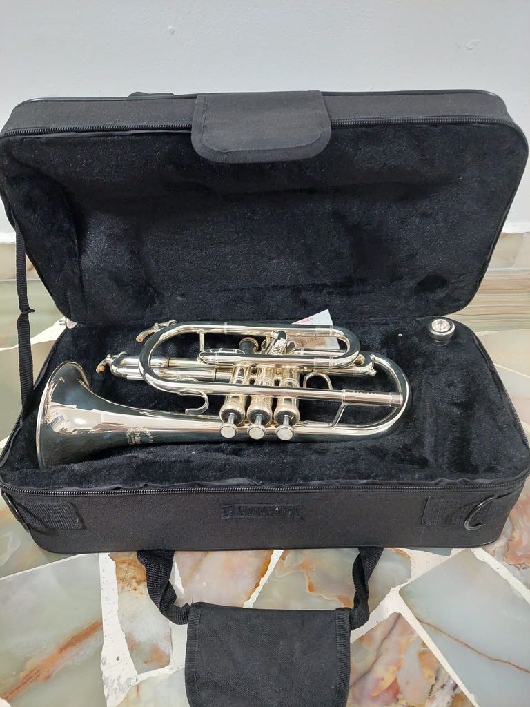 Cornet Chateau custom, Hobbies & Toys, Music & Media, Musical ...