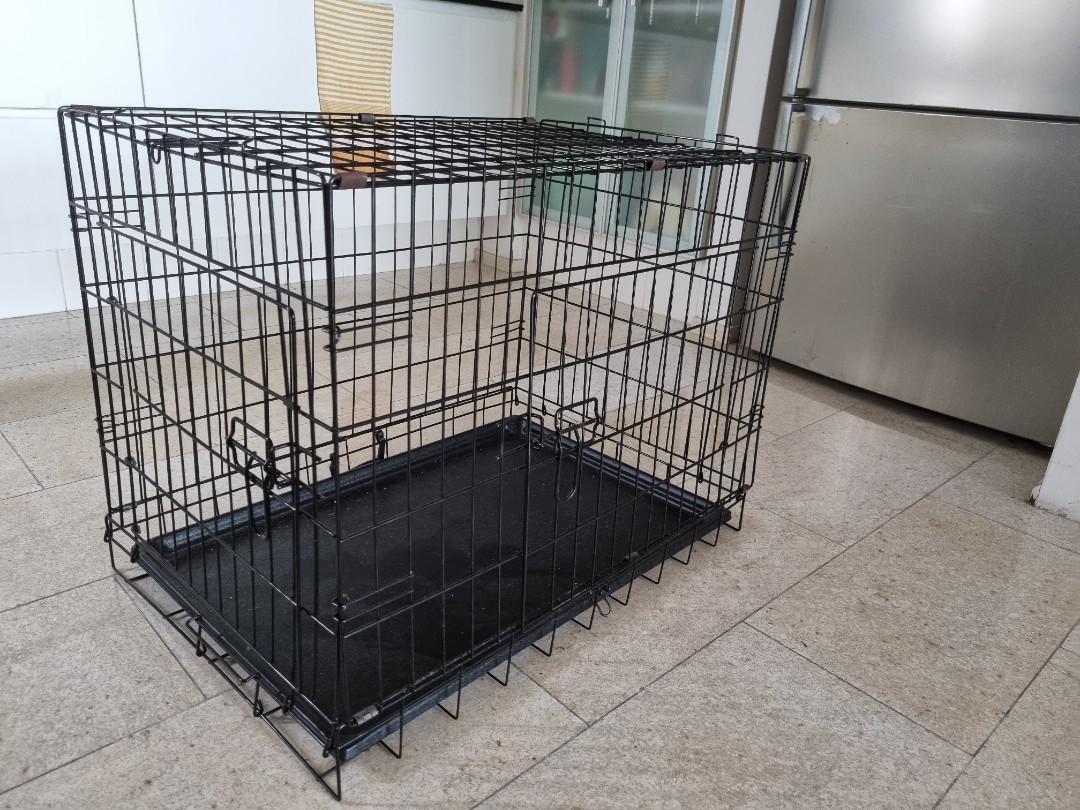 How To Kennel Train A Large Breed Dog