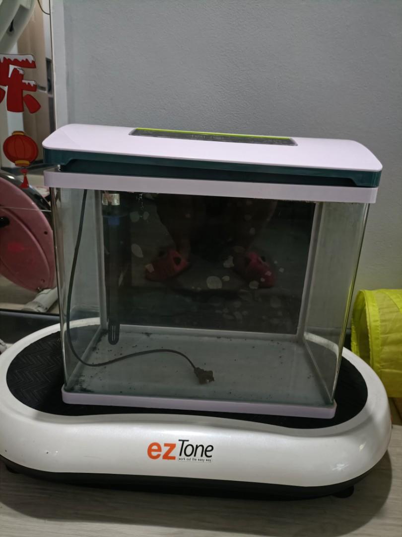 Fish Tank 46cm L x 43cm H x 25cm W, Pet Supplies, Homes & Other Pet ...