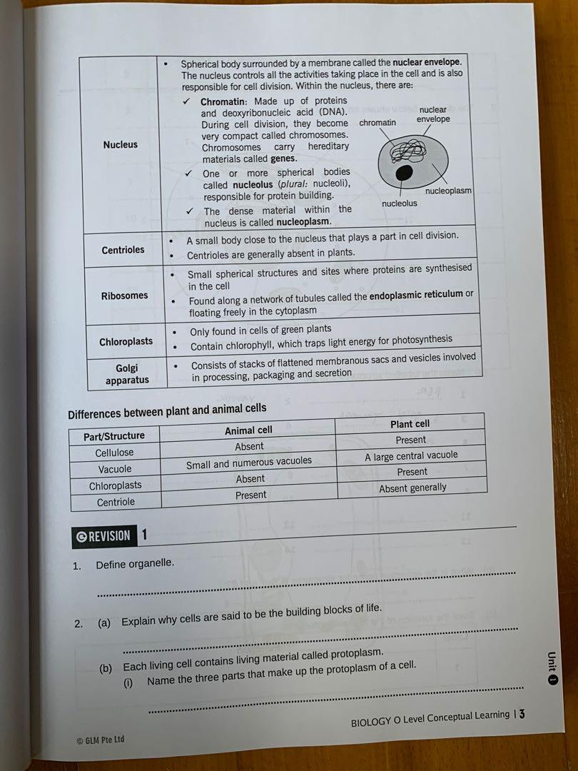 GLM Biology Conceptual Learning O LEVEL, Hobbies & Toys, Books ...