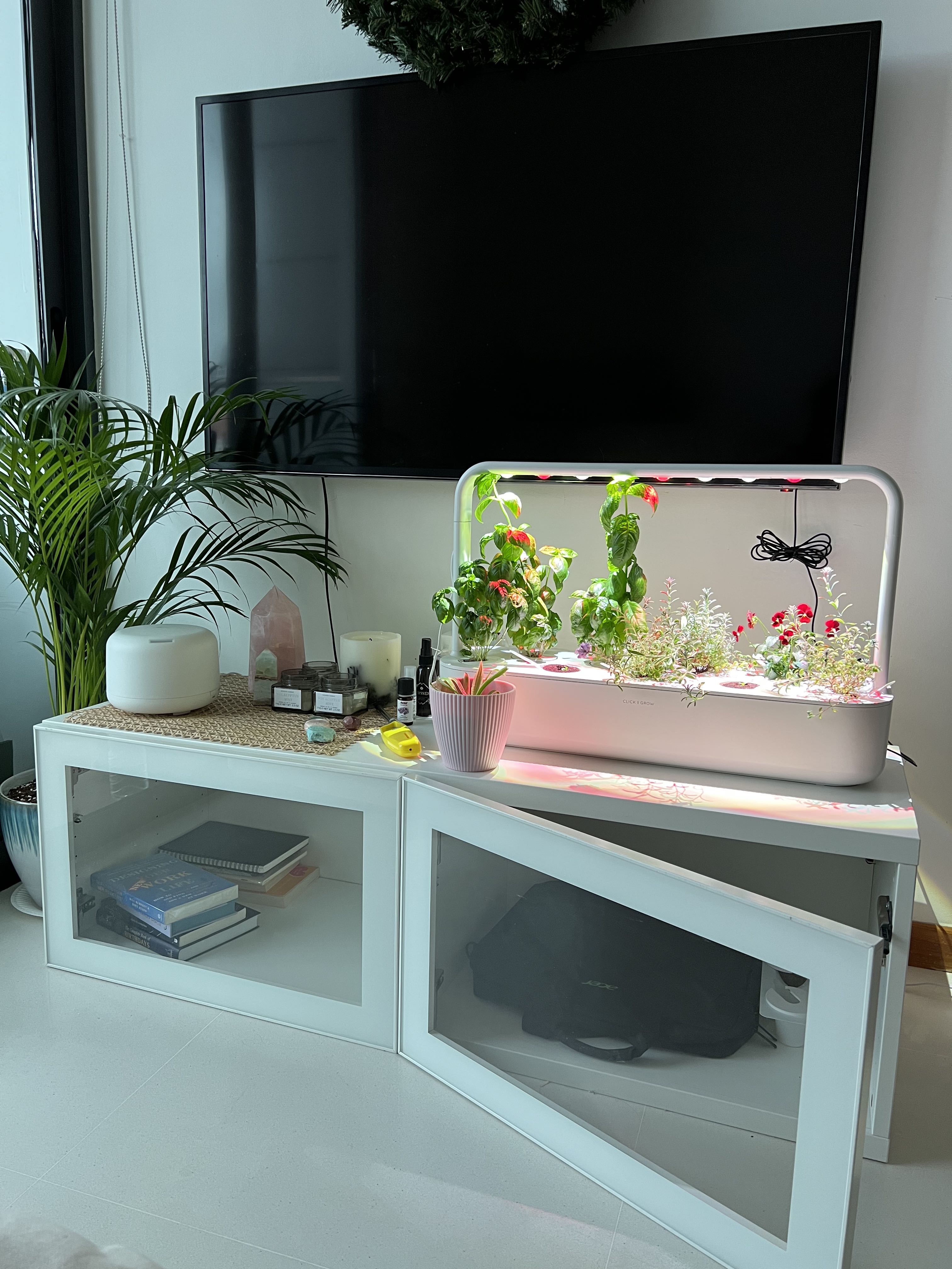 Ikea Besta Shelf with doors and glass divider, Furniture & Home Living ...