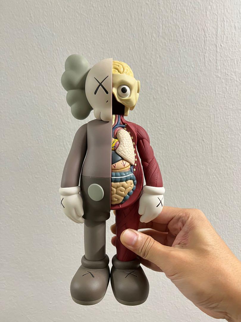Kaws Companion Flayed Dissected Open Edition BROWN, Hobbies & Toys ...