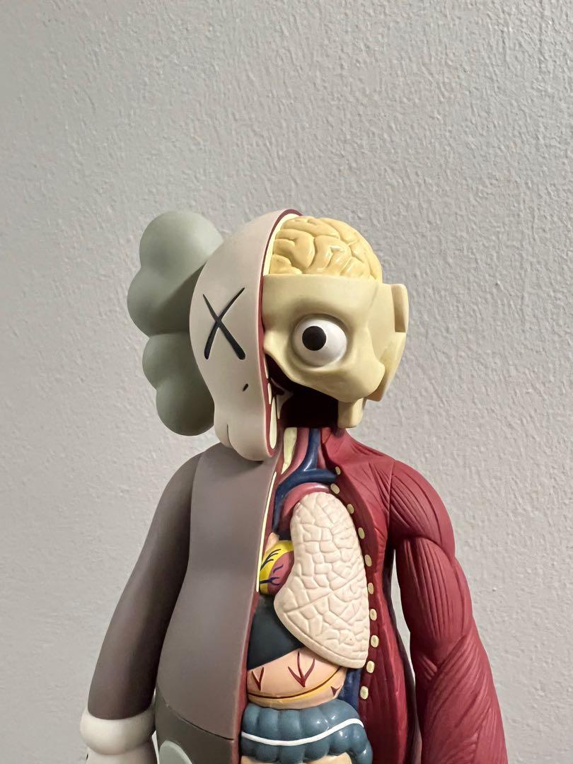 Kaws Companion Flayed Dissected Open Edition BROWN, Hobbies & Toys ...