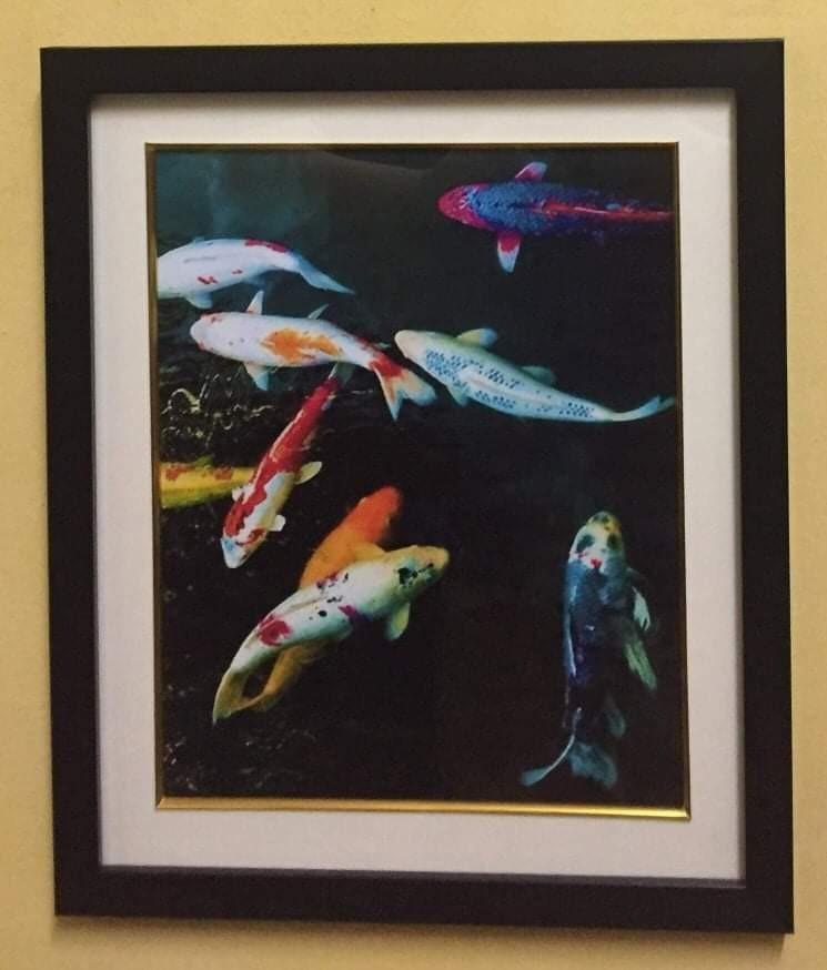 LUCKY KOI FISH FRAME, Furniture & Home Living, Home Decor, Frames ...