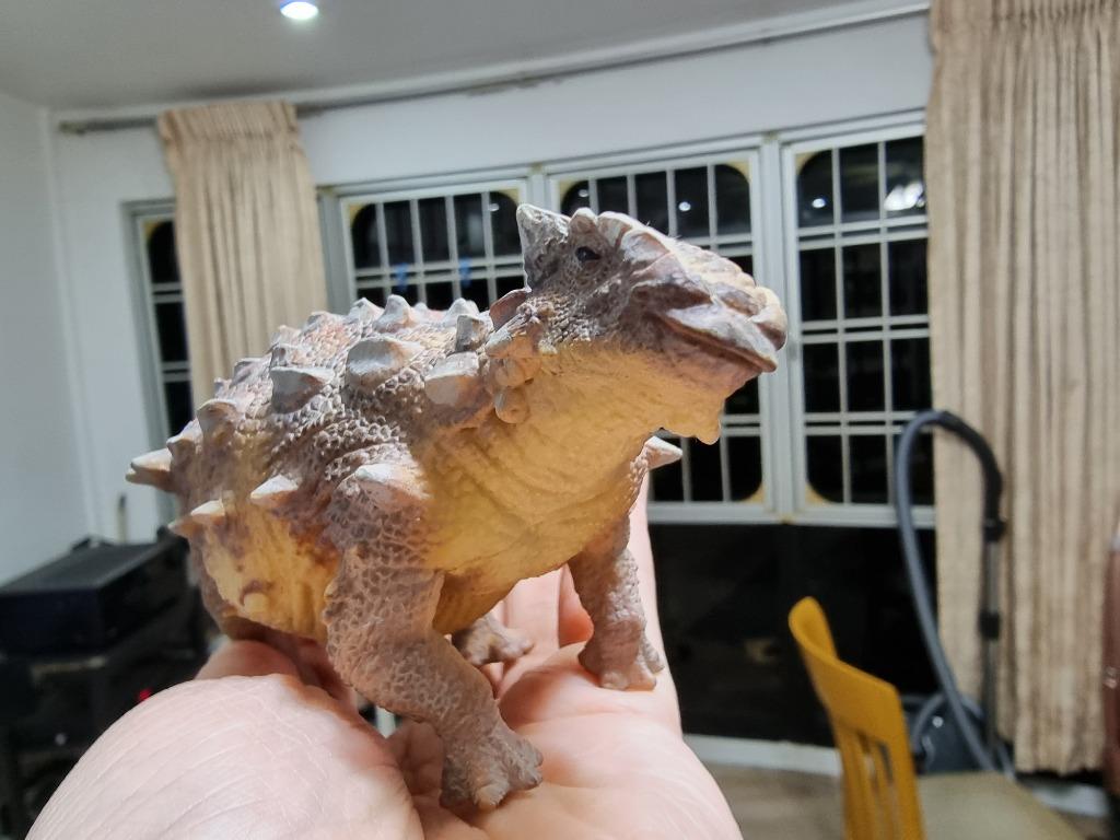 Sede The Ankylosaurus dinosaur model by PNSO, Hobbies & Toys, Books ...