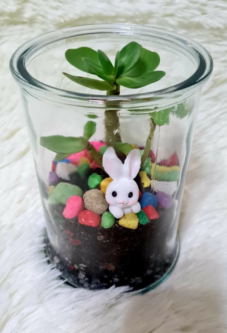 Terrarium Rabbit, Furniture & Home Living, Gardening, Plants & Seeds on ...