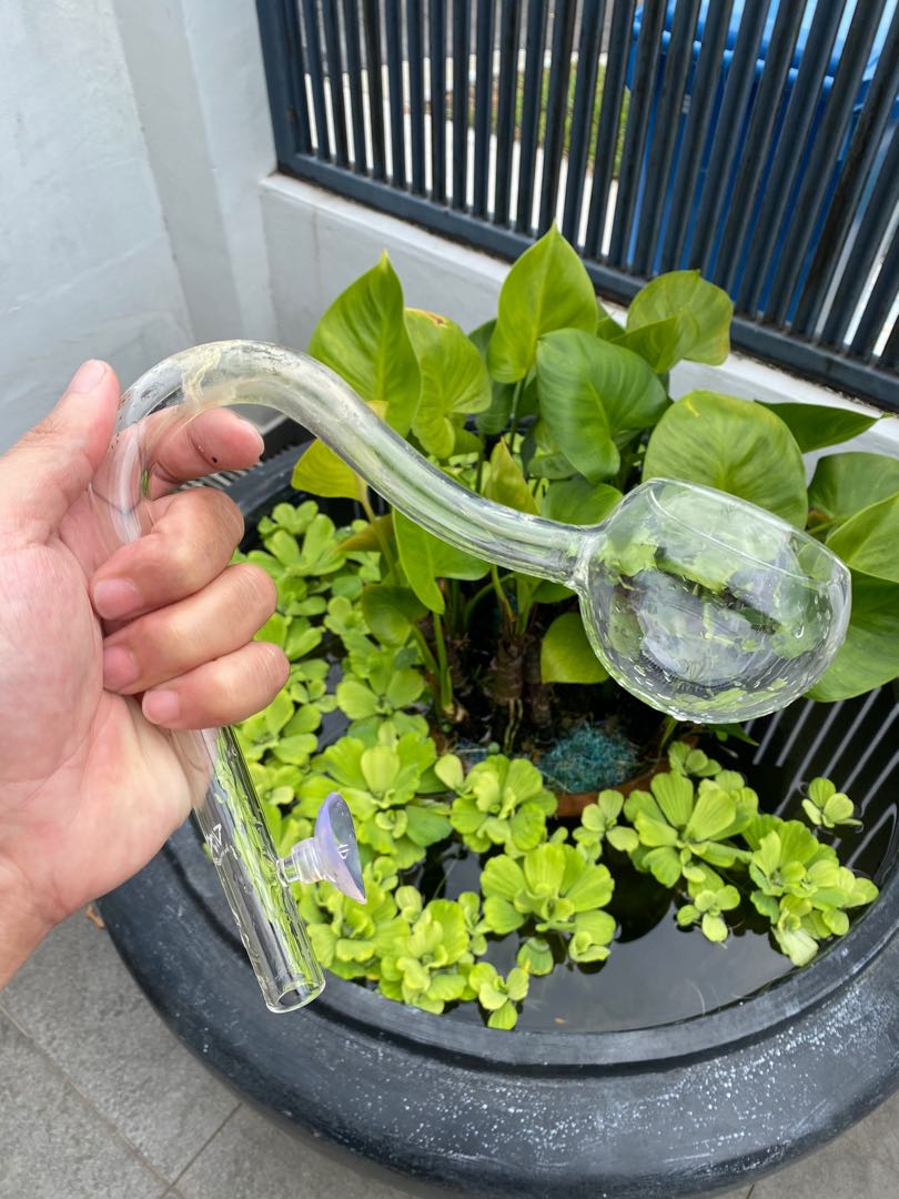 Viv Lily Pipe Outflow, Pet Supplies, Homes & Other Pet Accessories on ...