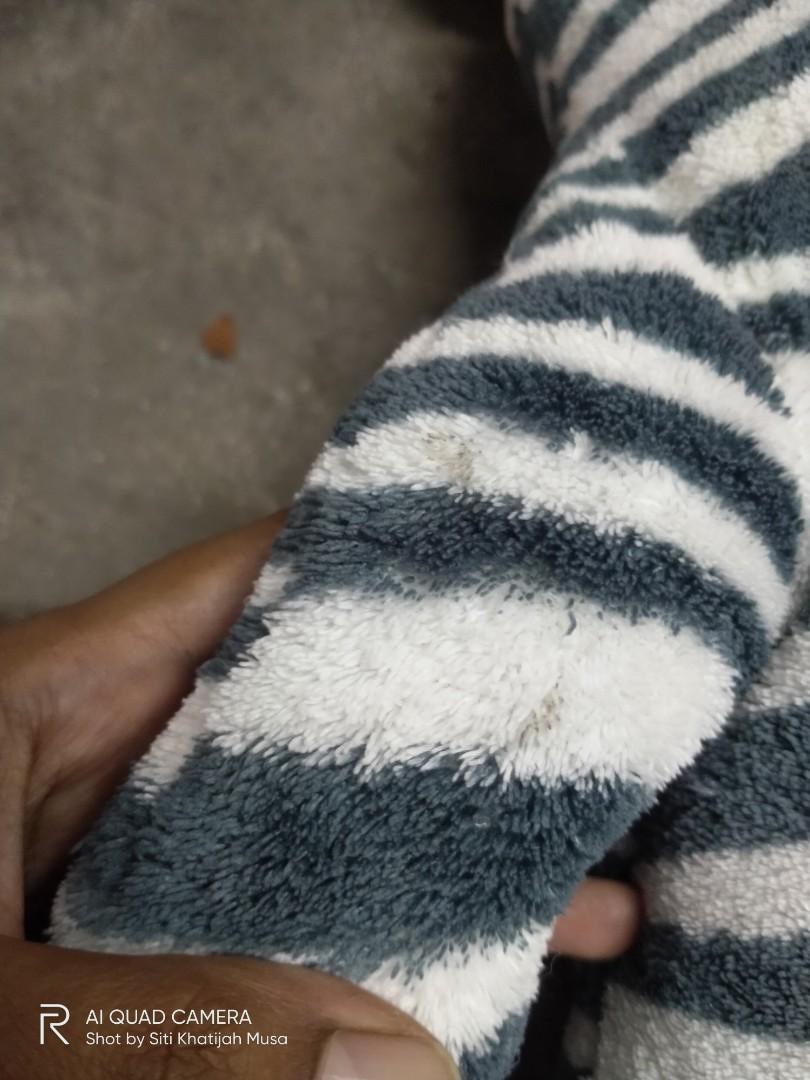 Amuse Flan Safari Hugging Plush Toy, Hobbies & Toys, Toys & Games on ...