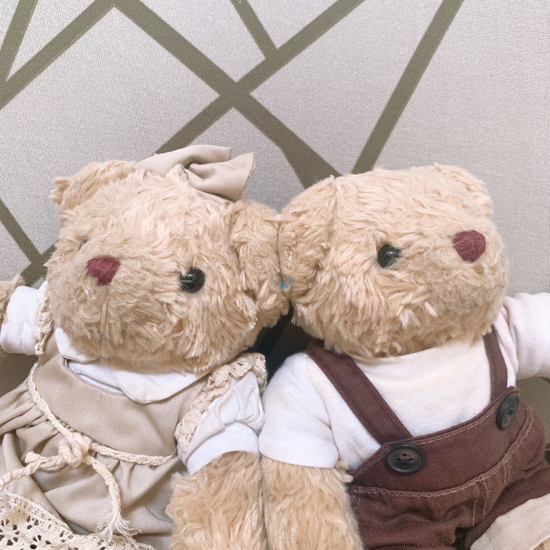 Boneka Couple Bear Aesthetic by Happy Teddy, Toys & Collectibles ...