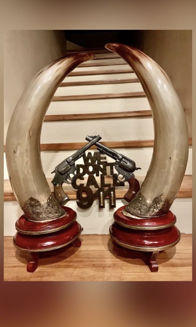 Bull horns with a 60cm height , Furniture & Home Living, Home Decor ...