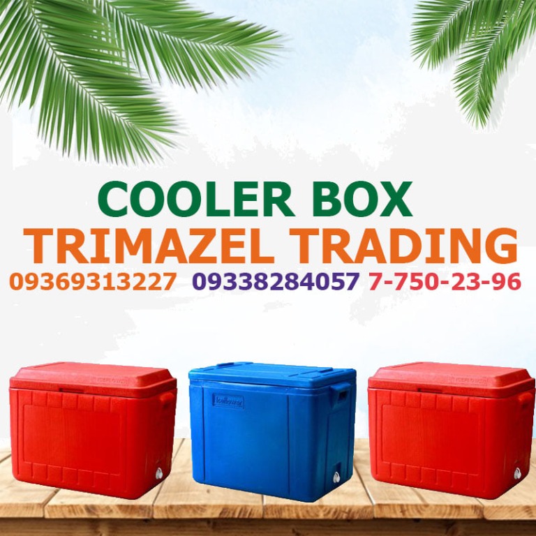 COOLER BOX, Furniture & Home Living, Home Improvement & Organization ...