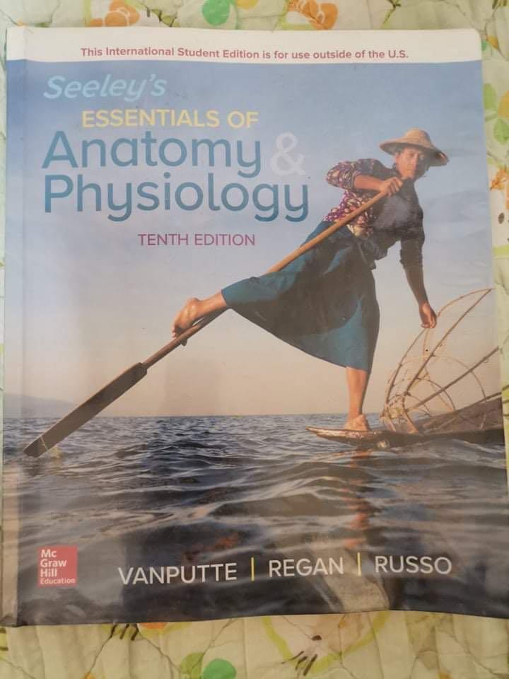 Seeleys Essential Anatomy And Physiology 10th Edition Hobbies And Toys