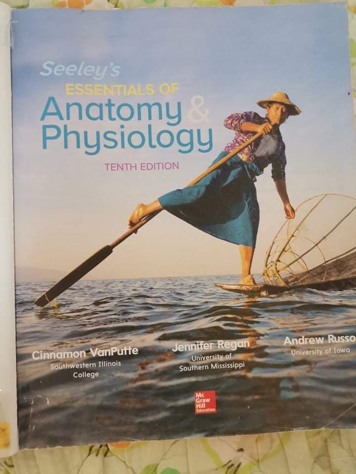 Seeleys Essential Anatomy And Physiology 10th Edition Hobbies And Toys