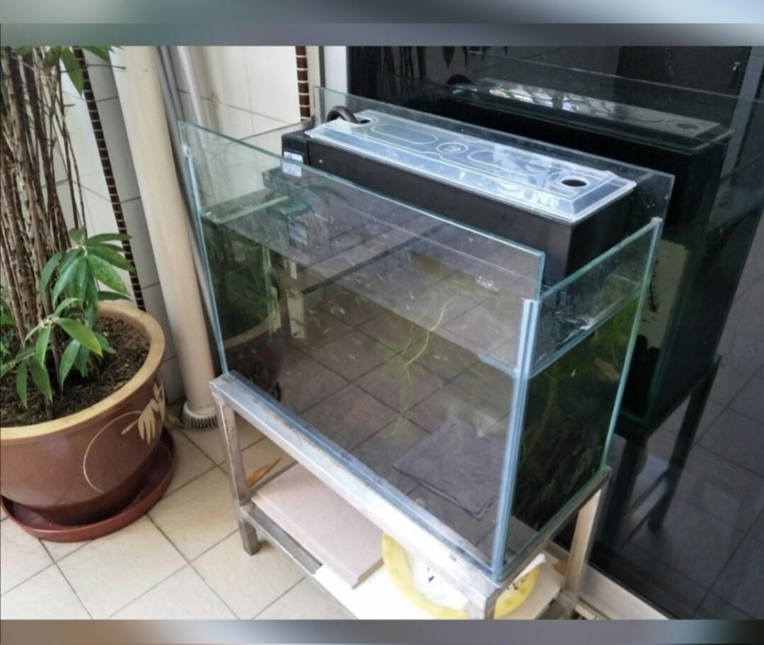 Brand new Fish tanks, Pet Supplies, Homes & Other Pet Accessories on ...
