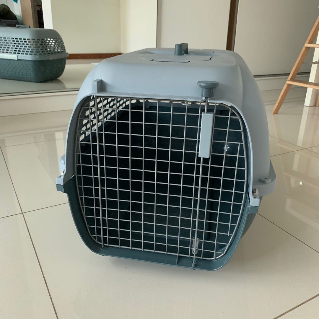 DogIt Pet Carrier (Pet Voyageur 300), Pet Supplies, Homes & Other Pet ...