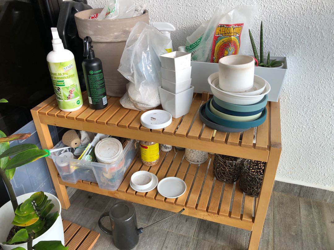 Ikea Molger bench, Furniture & Home Living, Furniture, Shelves ...