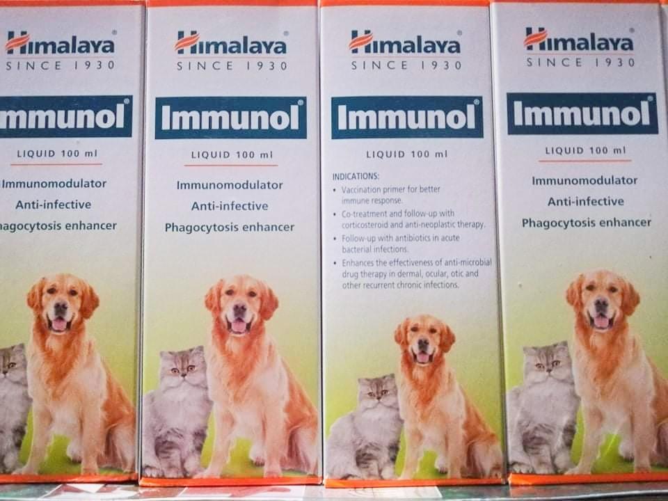 Immunol Syrup, Pet Supplies, Health & Grooming on Carousell