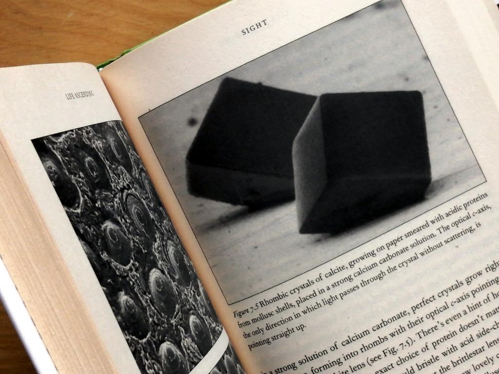 Life Ascending - The 10 Great Inventions of Evolution {Hard Cover ...