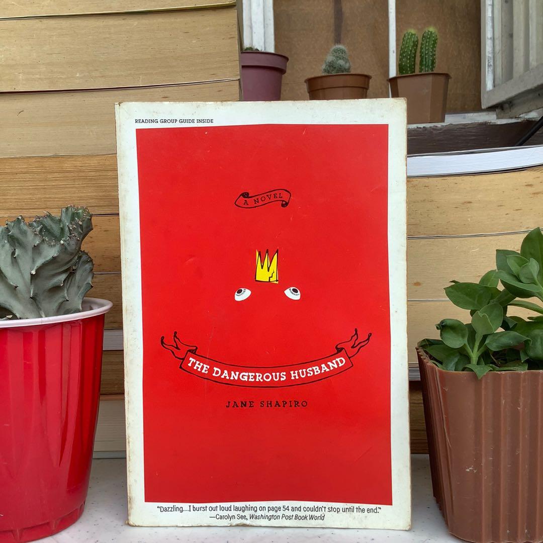 The Dangerous Husband by Jane Shapiro, Hobbies & Toys, Books ...