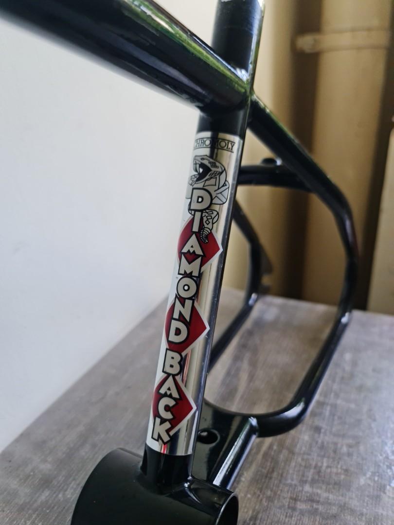 1981 Diamondback Large Pro Bmx Frameset, Sports Equipment, Bicycles ...