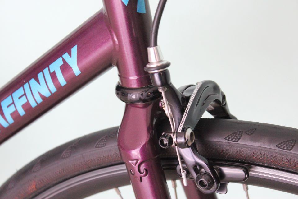 Affinity Low Pro Single Speed (Exclude wheelset), Sports Equipment ...