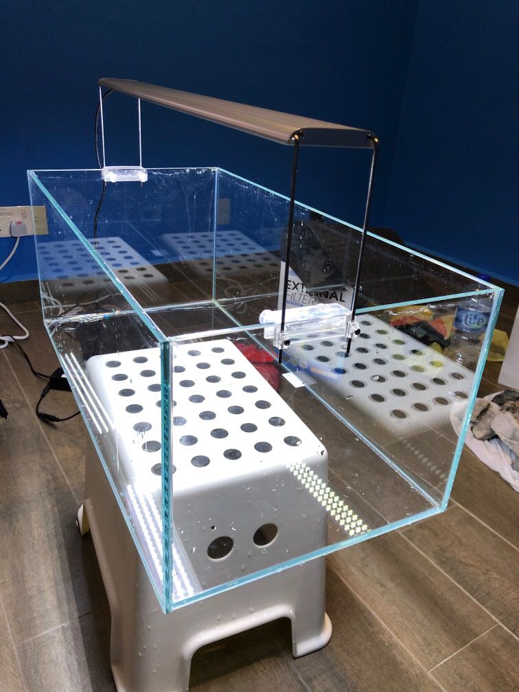 Fish tank 60cm slim, Pet Supplies, Homes & Other Pet Accessories on ...