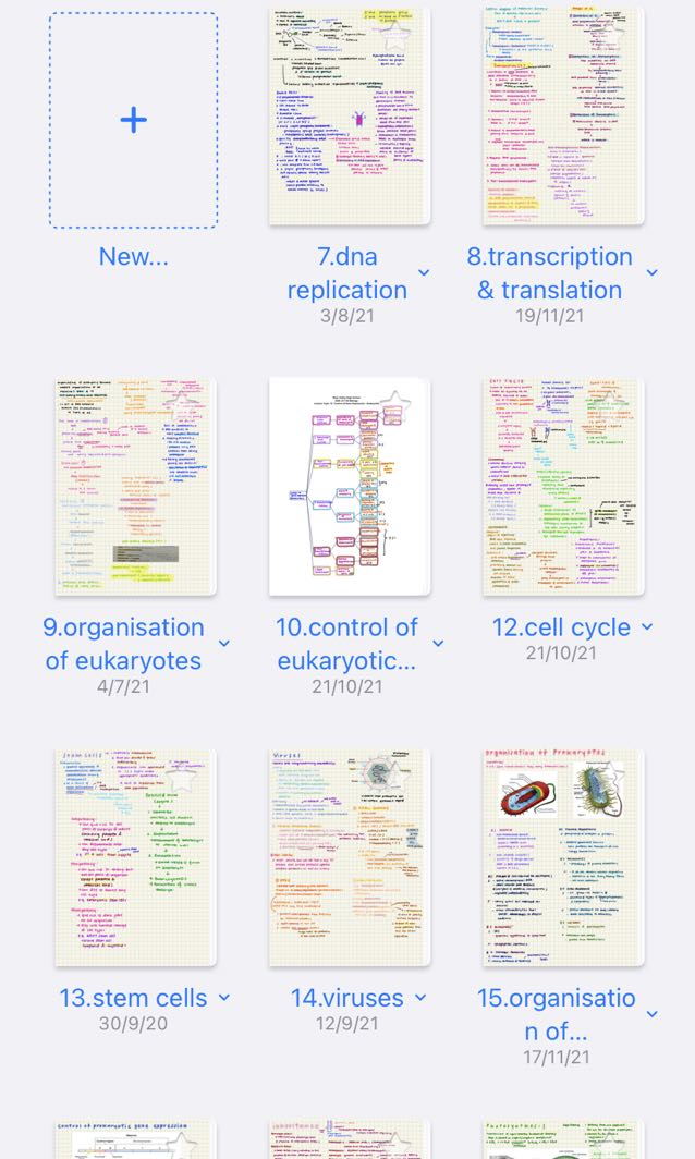 H2 Biology Handwritten Notes, Hobbies & Toys, Books & Magazines ...