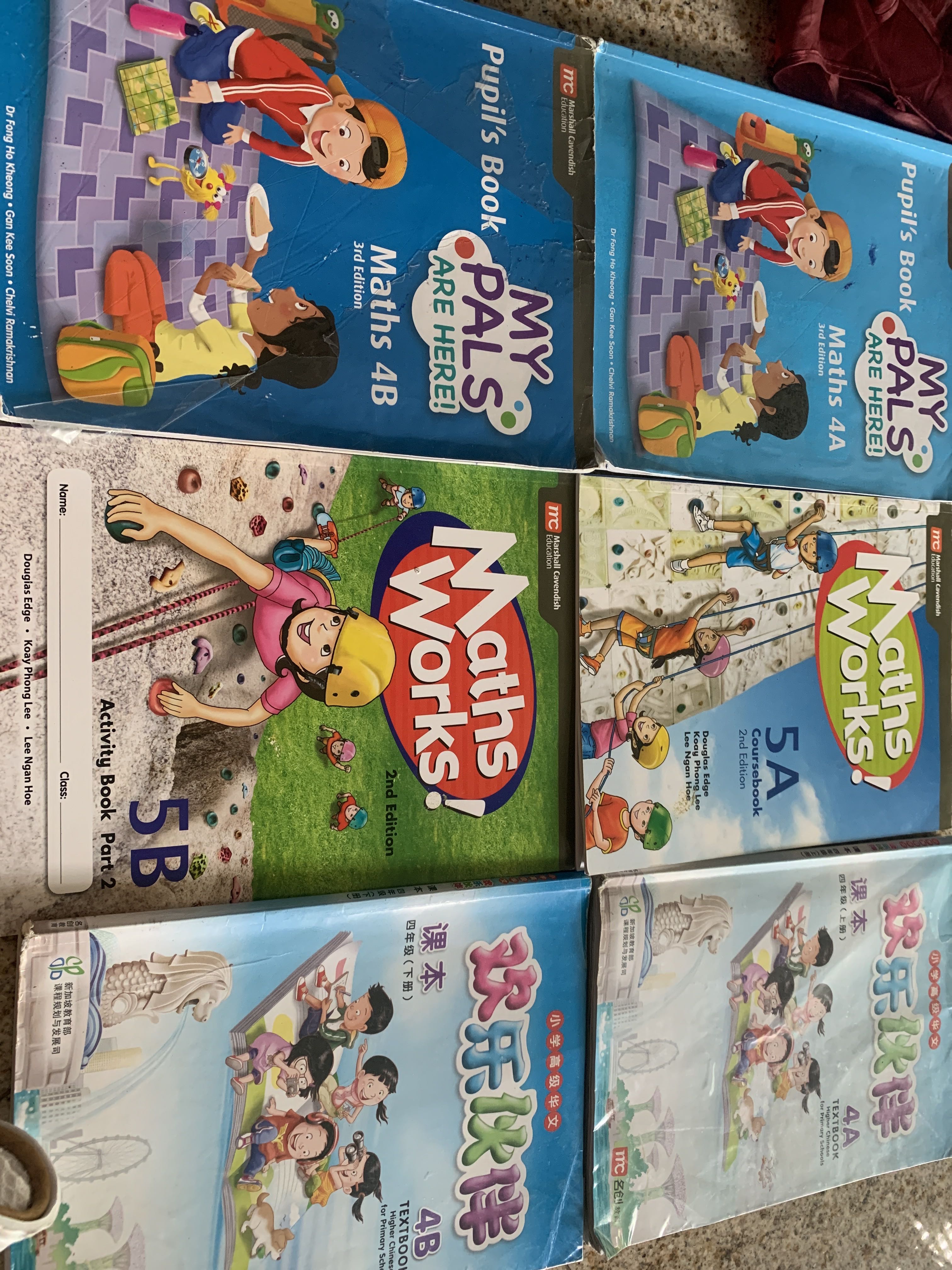 P4 and P5 text books and work book, Hobbies & Toys, Books & Magazines ...