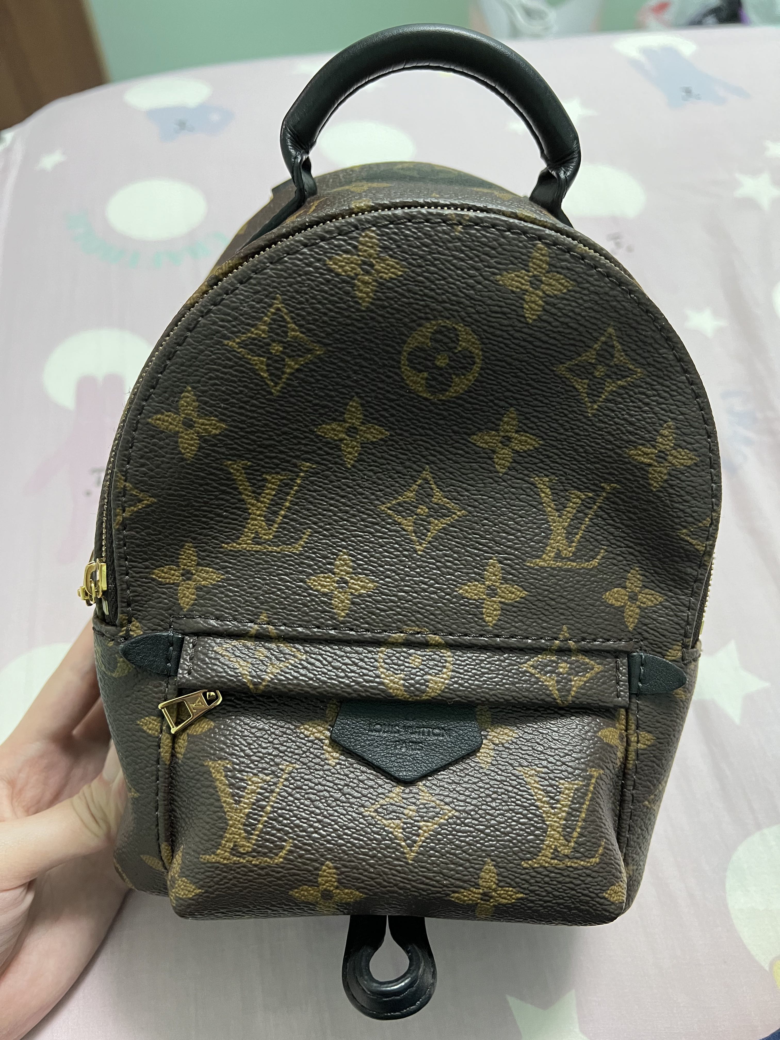LV Palm Spring Mini, Women's Fashion, Bags & Wallets, Backpacks on ...