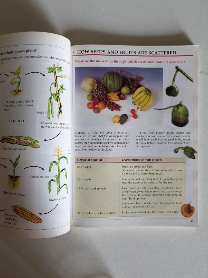 Mini Science Encyclopedia, Hobbies & Toys, Books & Magazines, Children ...