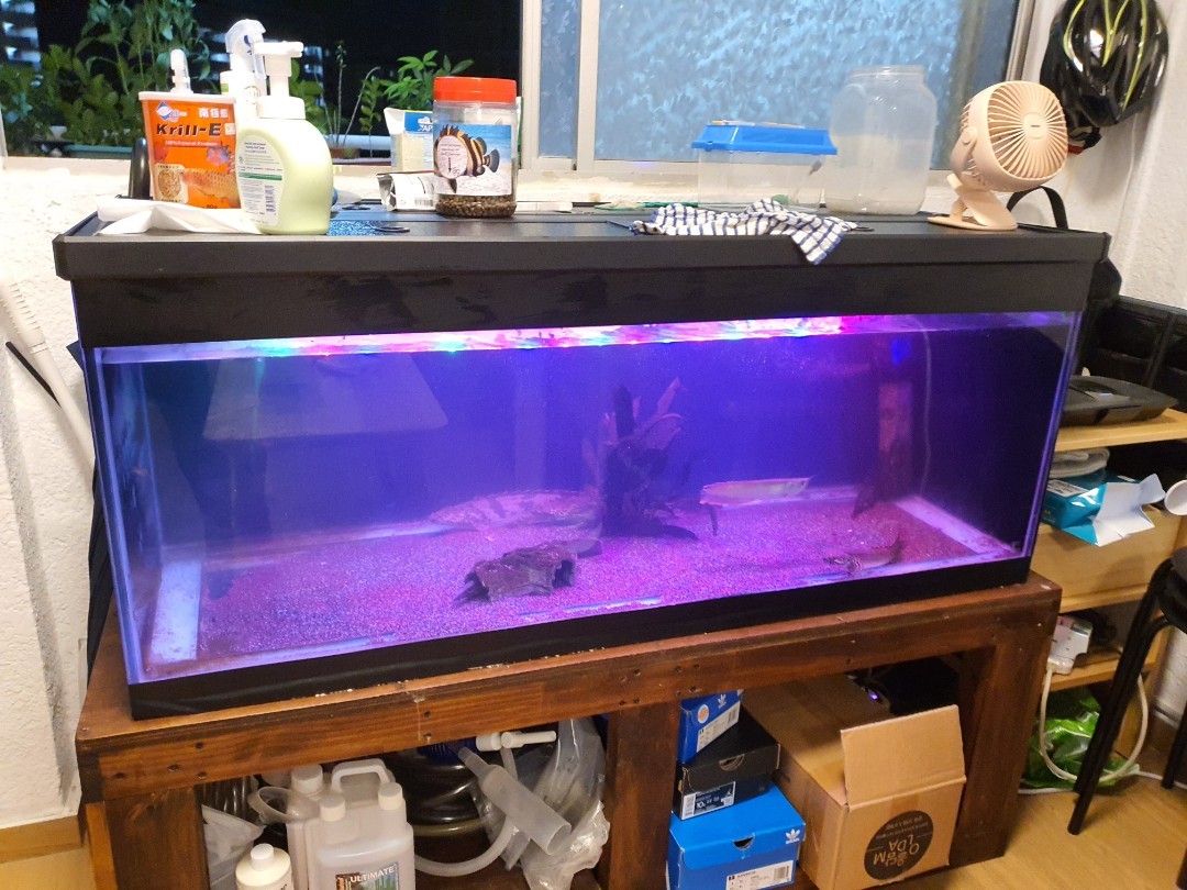 4ft glass fish tank (120cm X 50cm X 50cm) nego, Furniture & Home Living ...