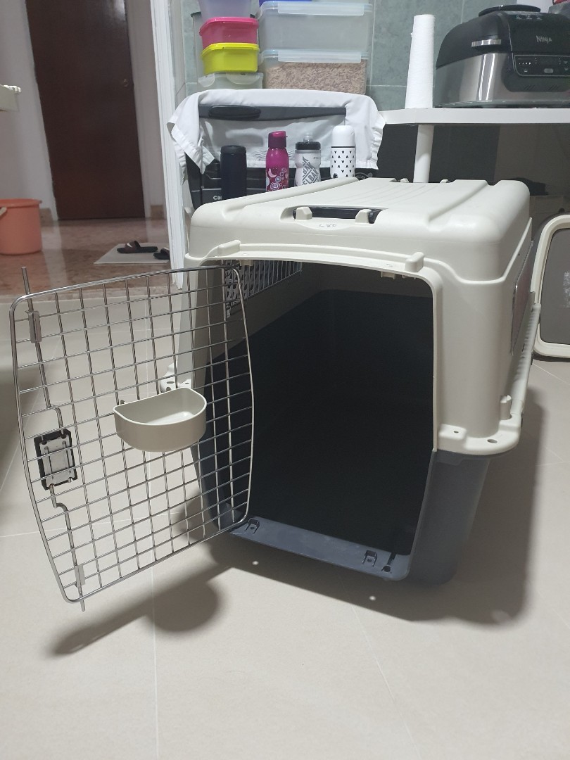 Airline Approved Crate L size, Pet Supplies, Homes & Other Pet ...