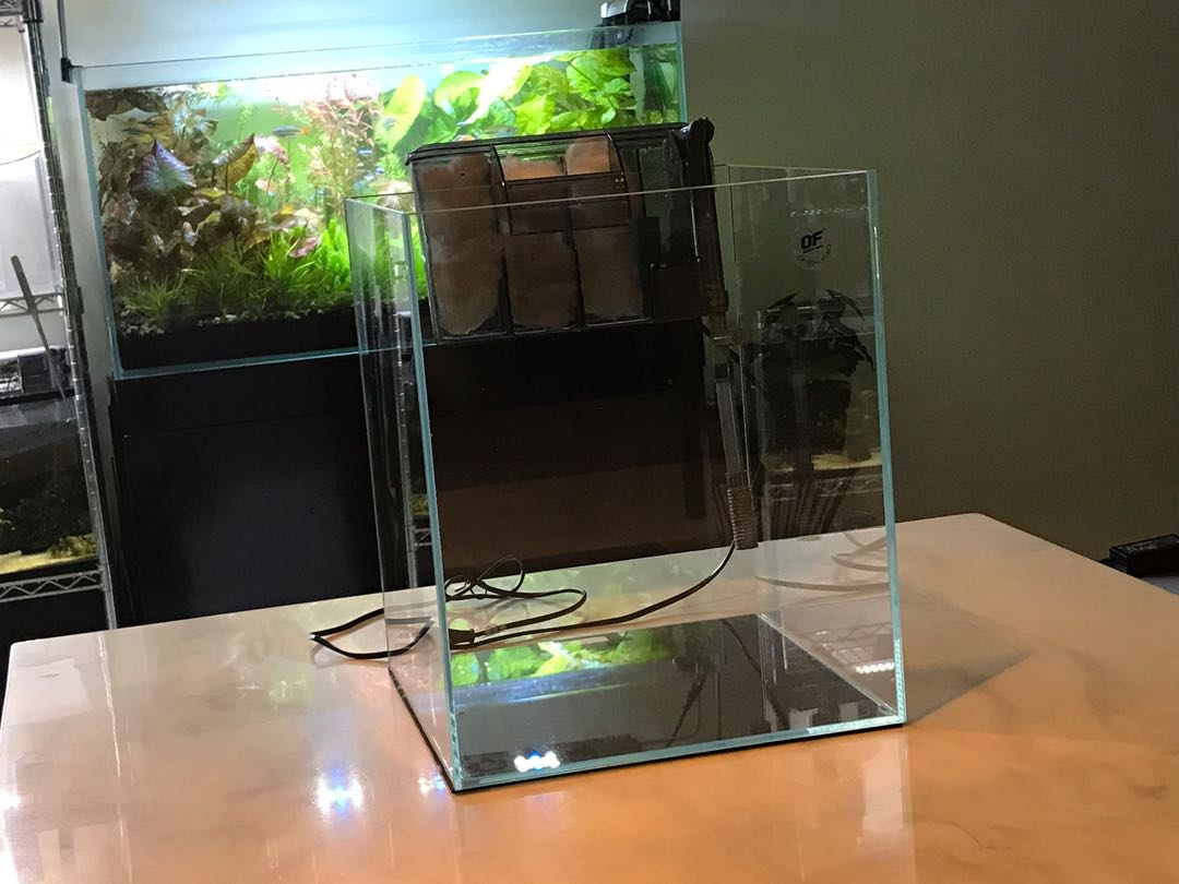 Crystal Clear Glass Fish Aquarium Tank (OF Ocean Free Crystal Glass ...