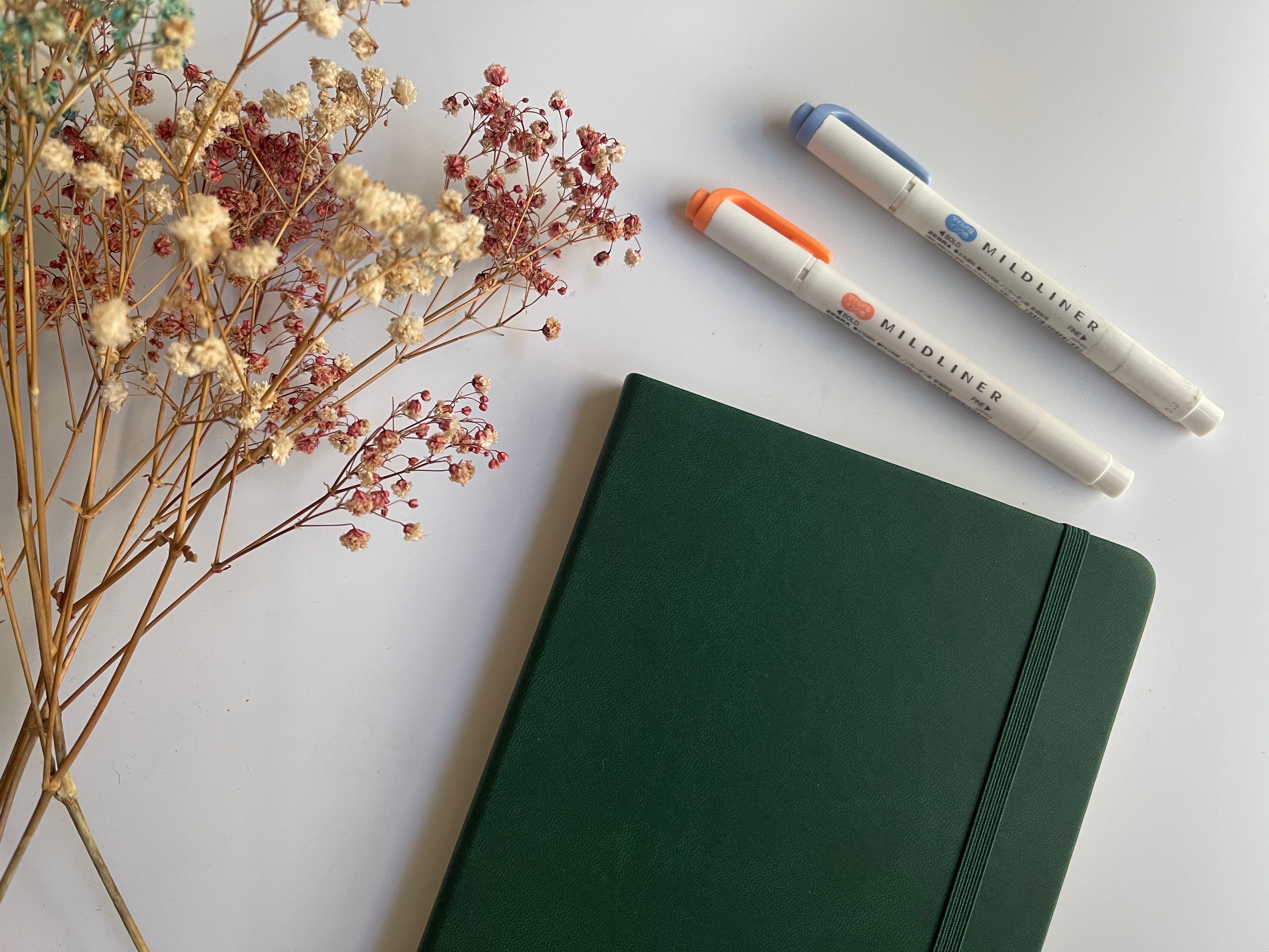 forest green bullet journal, Hobbies & Toys, Stationery & Craft, Craft ...